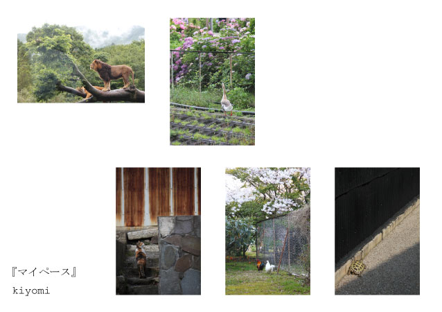 Sui photo exhibition#7 - photo circle Sui